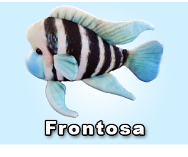 frontosa tds